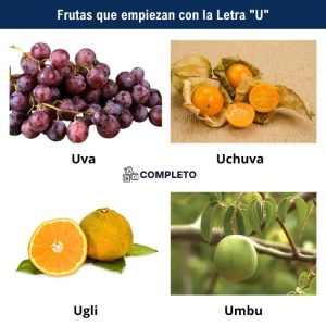 Top 5 Frutas con la Letra U - ¿sabes cuáles son?
