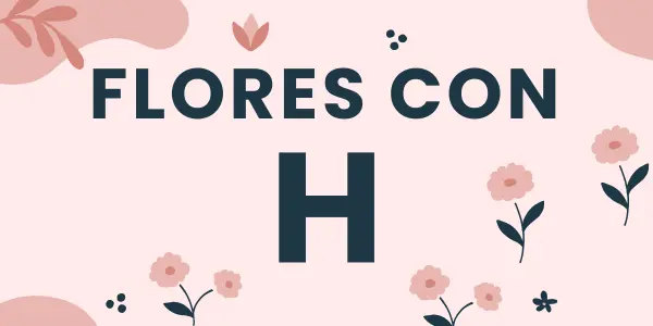 60+ Flores con H: Lista actualizada